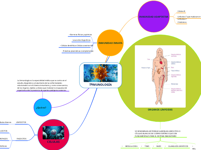 INMUNOLOGÍA - Mind Map
