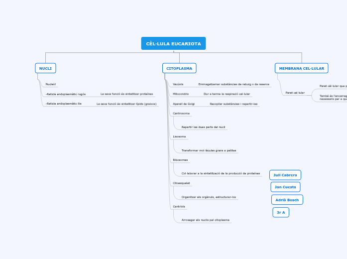 CÈL·LULA EUCARIOTA - Mind Map