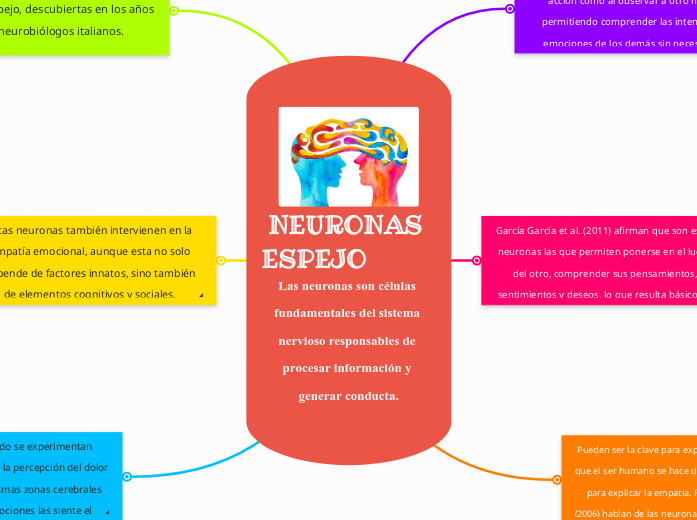 NEURONAS ESPEJO Las neuronas son células fundamentales del sistema nervioso responsables de ...