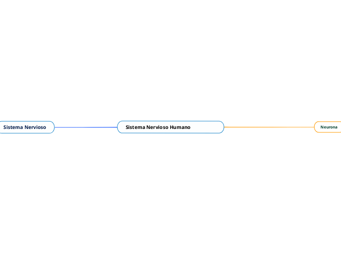 Sistema Nervioso Humano - Mind Map