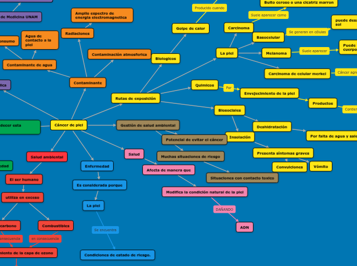 Cáncer de piel - Mind Map