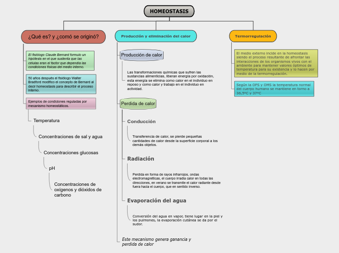 HOMEOSTASIS - Mind Map