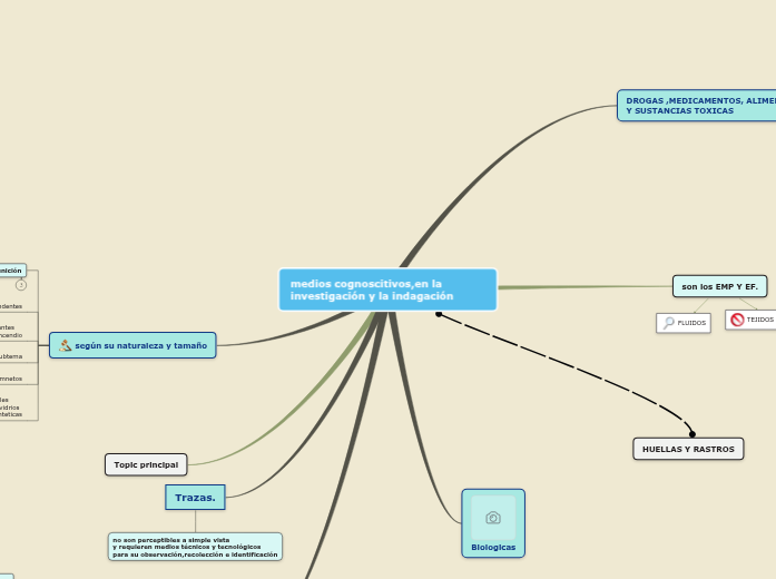 policia Judicial - Mind Map