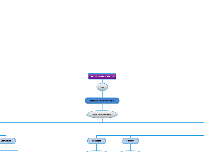 ÁCIDOS NUCLEICOS - Mind Map