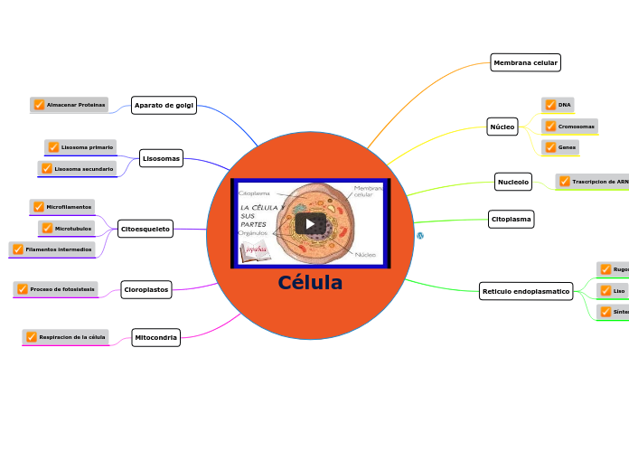 Célula - Mind Map