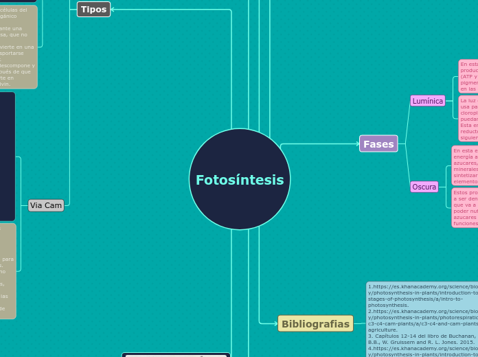 Fotosíntesis Jesus Loeza - Mind Map