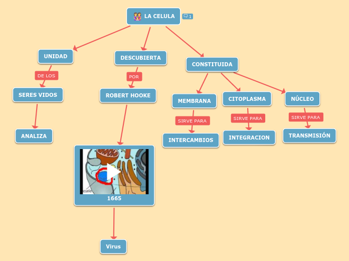 LA CELULA - Mind Map