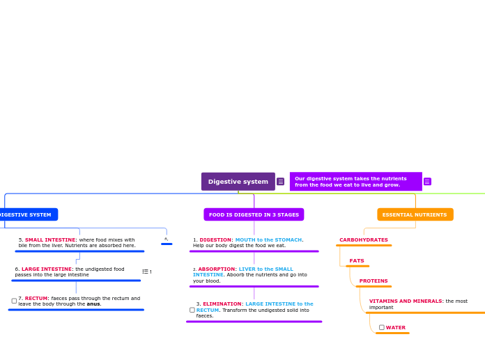 Digestive system - Mind Map