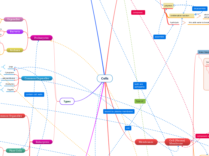 Cells - Mind Map