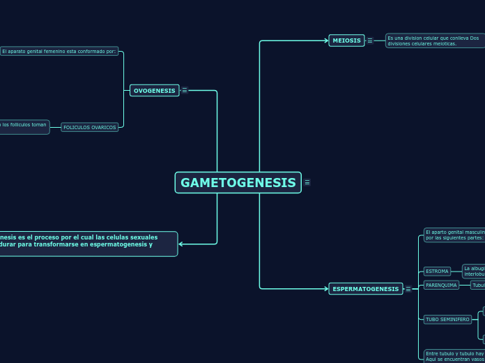 GAMETOGENESIS - Mind Map