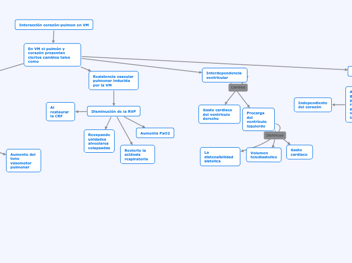 Interacción corazón-pulmon en VM - Mind Map