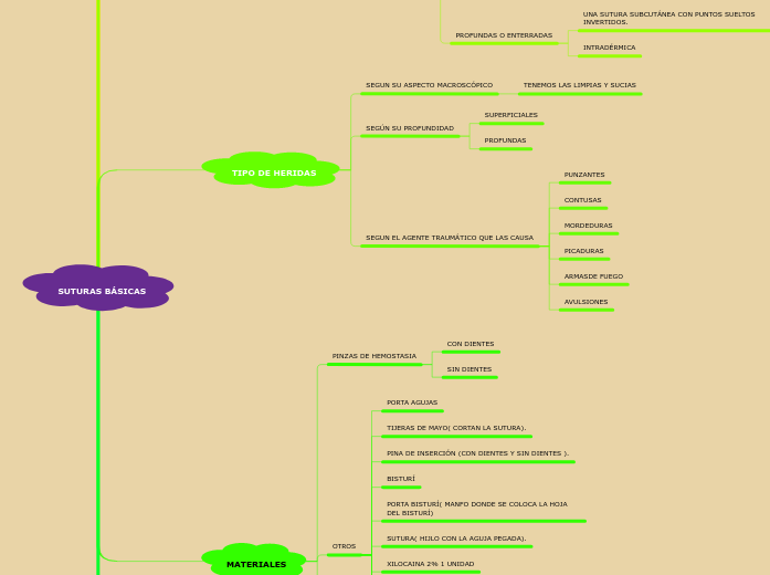 SUTURAS BÁSICAS - Mind Map
