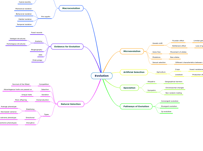 Evolution - Mind Map