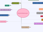 Medio Ambiente - Mind Map