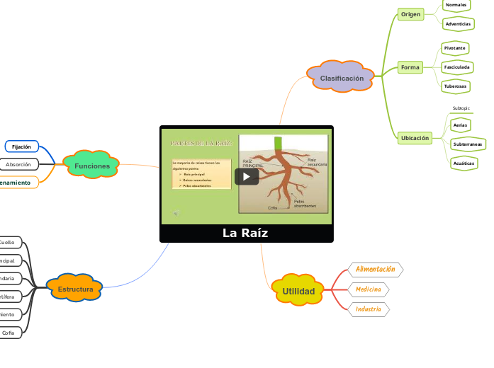 La Raíz - Mind Map