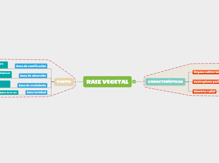RAIZ VEGETAL - Mind Map