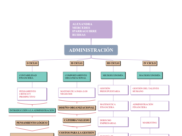 ALEXANDRA MERCEDES IPARRAGUIRRE RUIDIAS - Mind Map