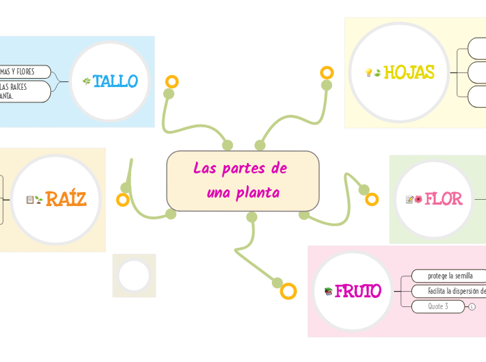 Las partes de una planta - Mind Map