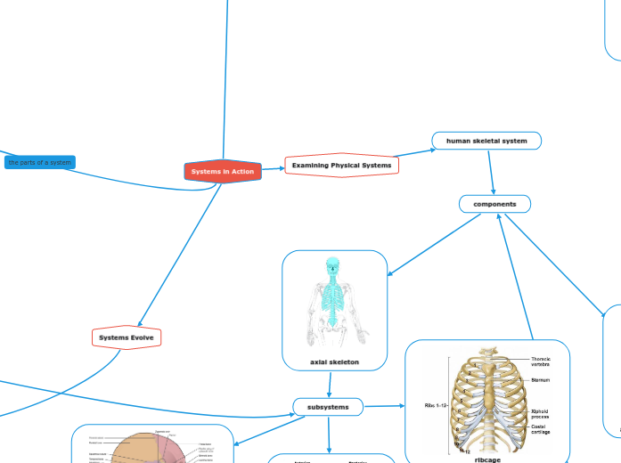 Systems in Action - Mind Map
