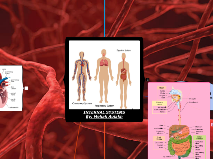 internal systems assignment - Mind Map