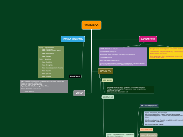 Protozoa - Mind Map