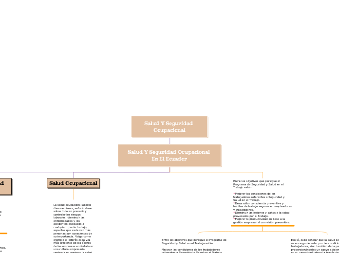 Salud Y Seguridad Ocupacional - Mind Map