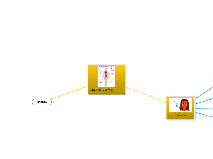 CUERPO HUMANO - Mind Map