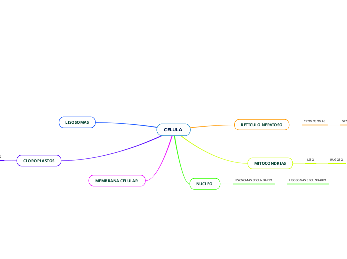 CELULA - Mind Map