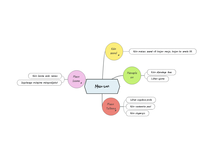 Minu suvi - Mind Map