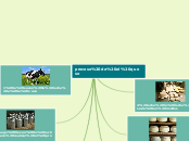 proceso de el queso - Mind Map