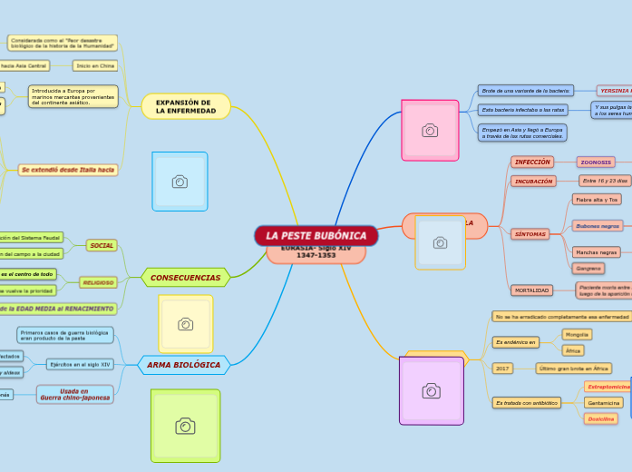 LA PESTE BUBÓNICA - Mind Map