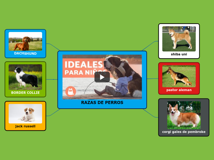 RAZAS DE PERROS - Mind Map