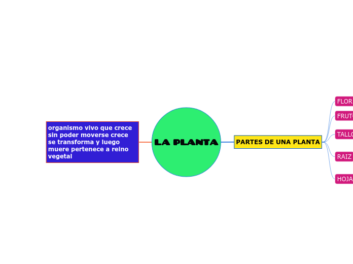 LA PLANTA - Mind Map