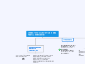 DERECHOS COLECTIVOS Y DEL MEDIO AMBIENTE - Mind Map