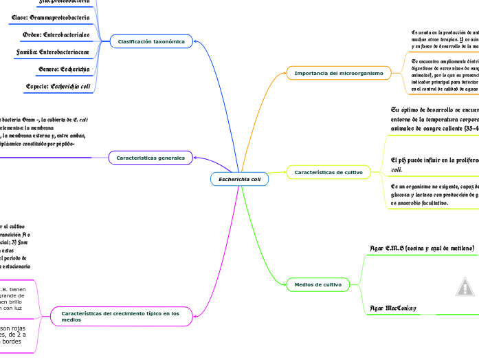 Escherichia coli - Mind Map