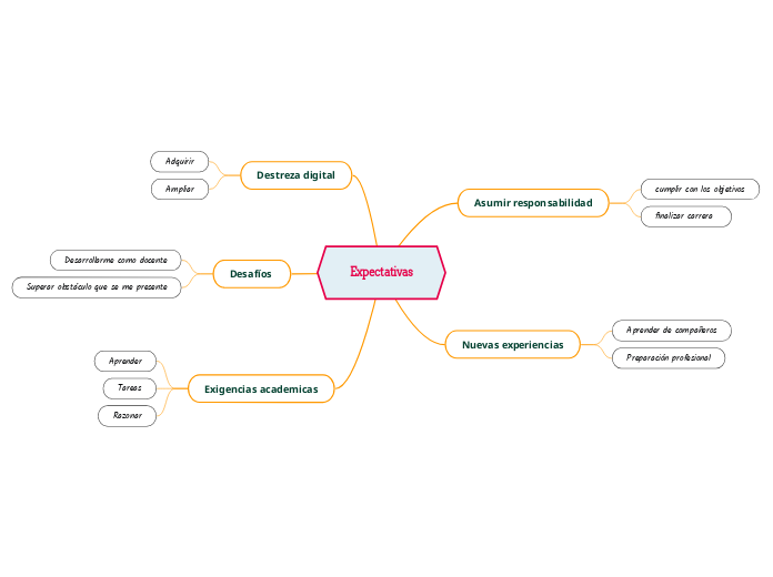 Expectativas - Mind Map