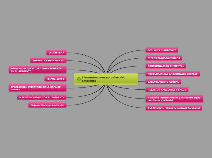 Elementos conceptuales del ambiente - Mind Map