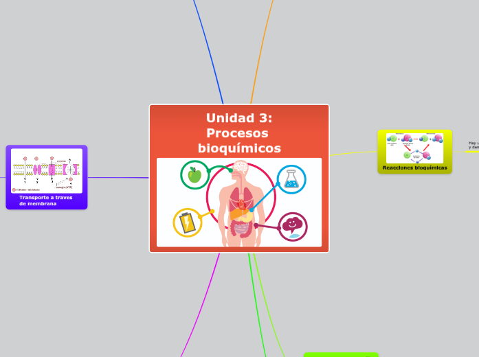 Unidad 3: Procesos bioquímicos - Mind Map