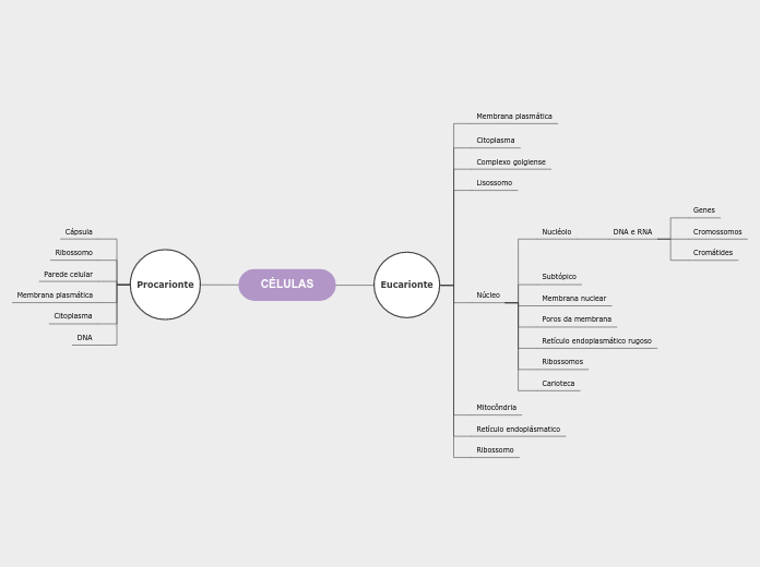 CÉLULAS - Mind Map