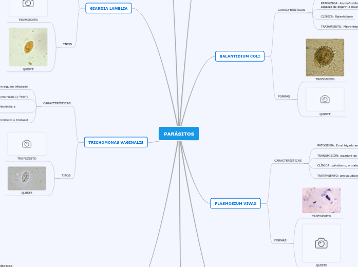 PARÁSITOS - Mind Map