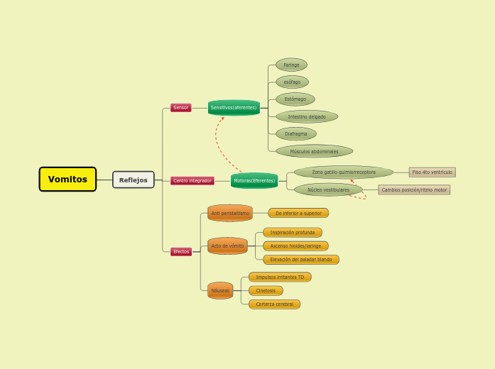 Vomitos - Mind Map
