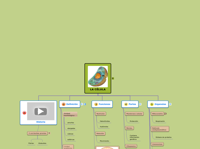 LA CÉLULA - Mind Map