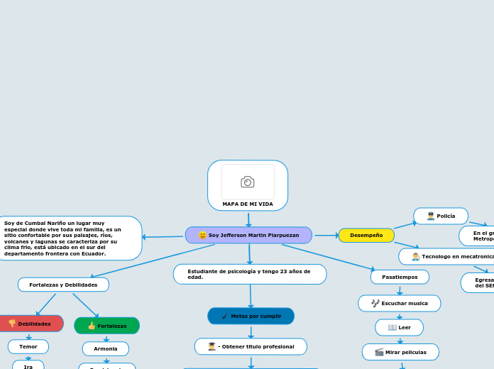 MAPA DE MI VIDA - Mind Map