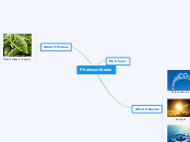 Photosynthesis - Mind Map