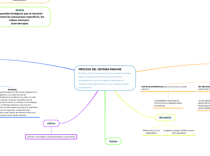 PROCESO DEL SISTEMA INMUNEEl sistema inmun...- Mind Map