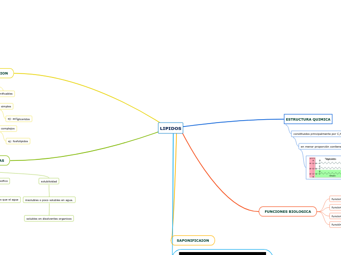 LIPIDOS - Mind Map
