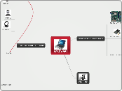 Nuevo mapa - Mind Map