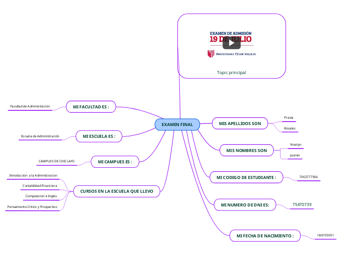 EXAMEN FINAL - Mind Map