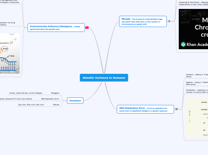 Genetic Variance - Mind Map