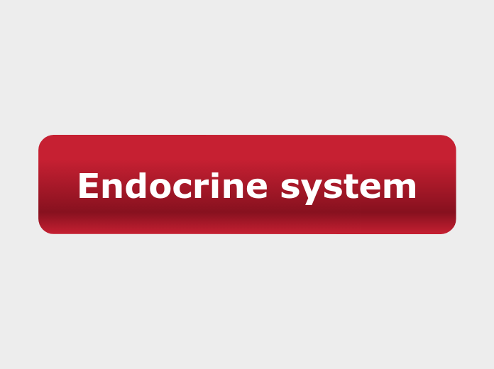 Endocrine system - Mind Map